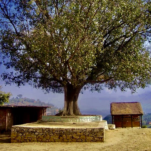 Chhahari & Chautari – Chhahari Counseling